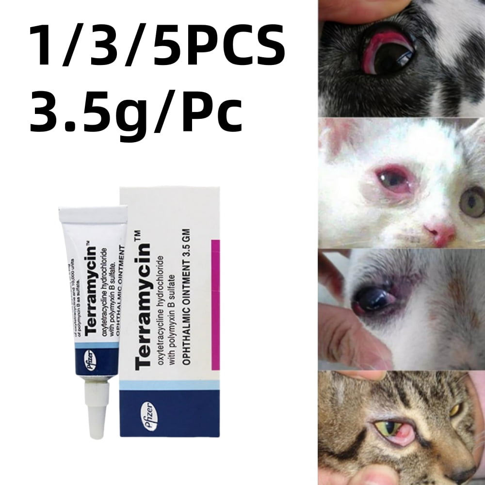 Terramycin Eye Ointment for Cats, Dogs & Horses: Antibiotic Treatment ...
