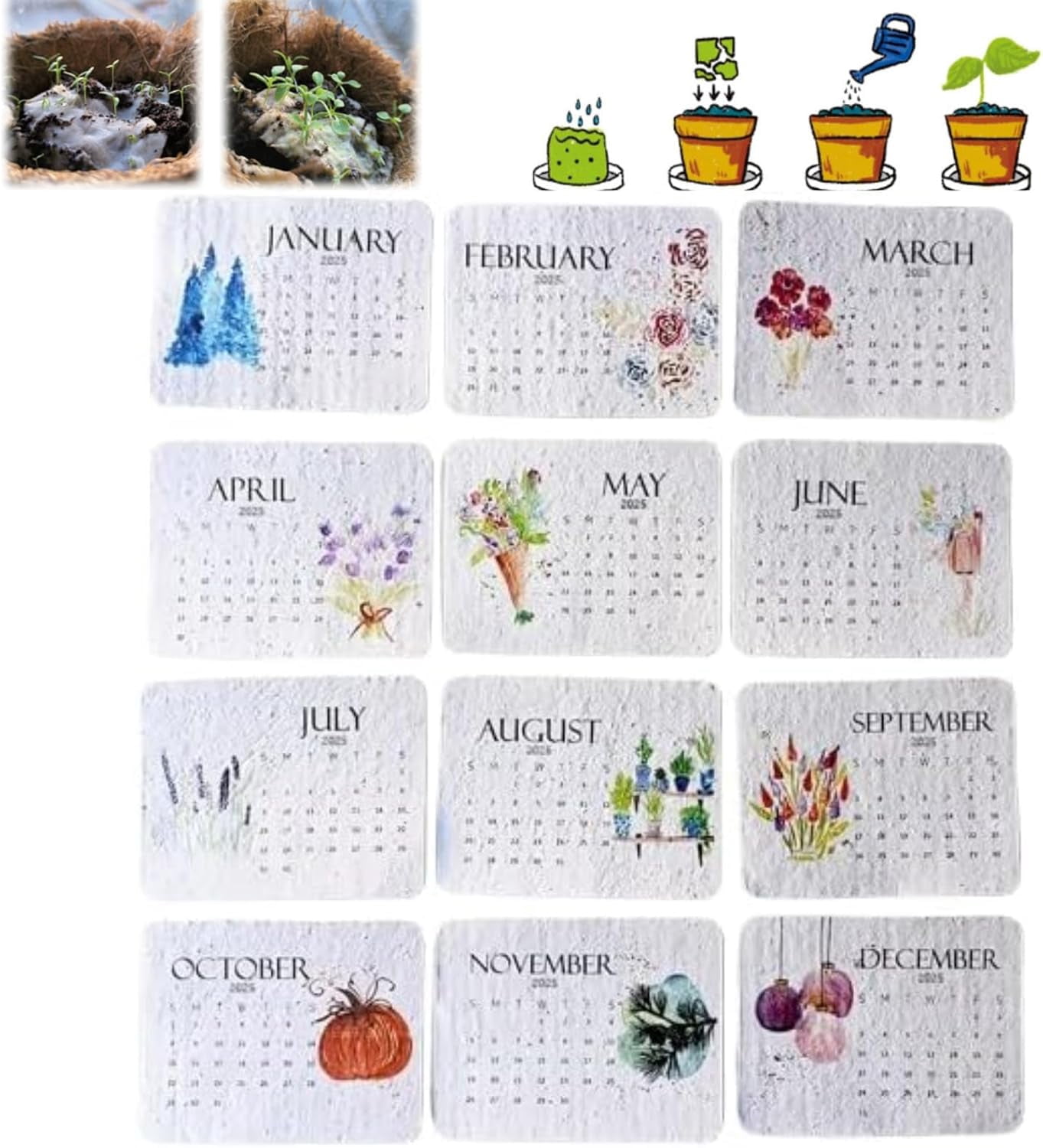 2025 Plantable Seed Calendar, Eco-Friendly Greenery Planner with ...