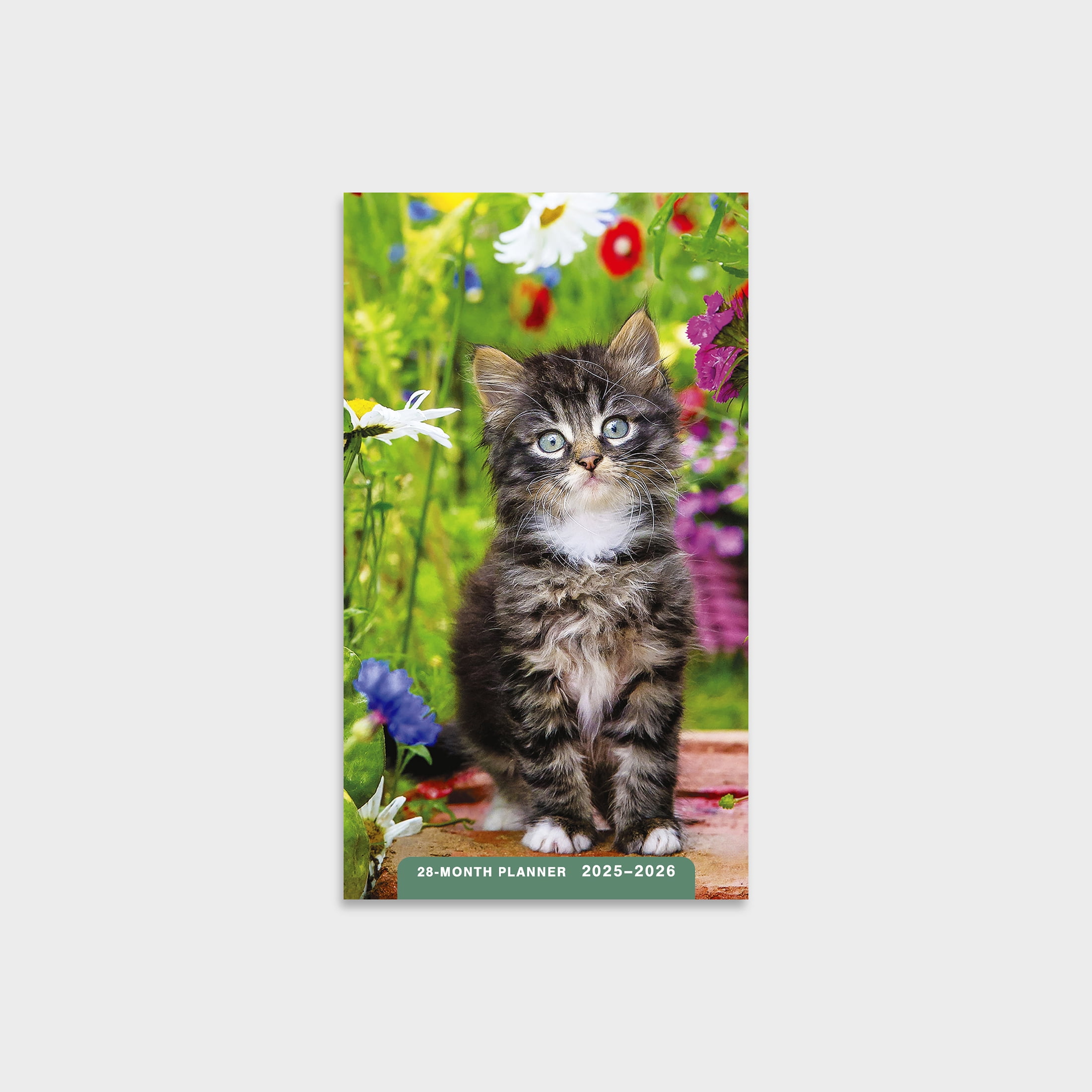 2025-Pocket Planner-Kitten- 3.62 x 6.5"- 2 yr Pocket Planner by ...