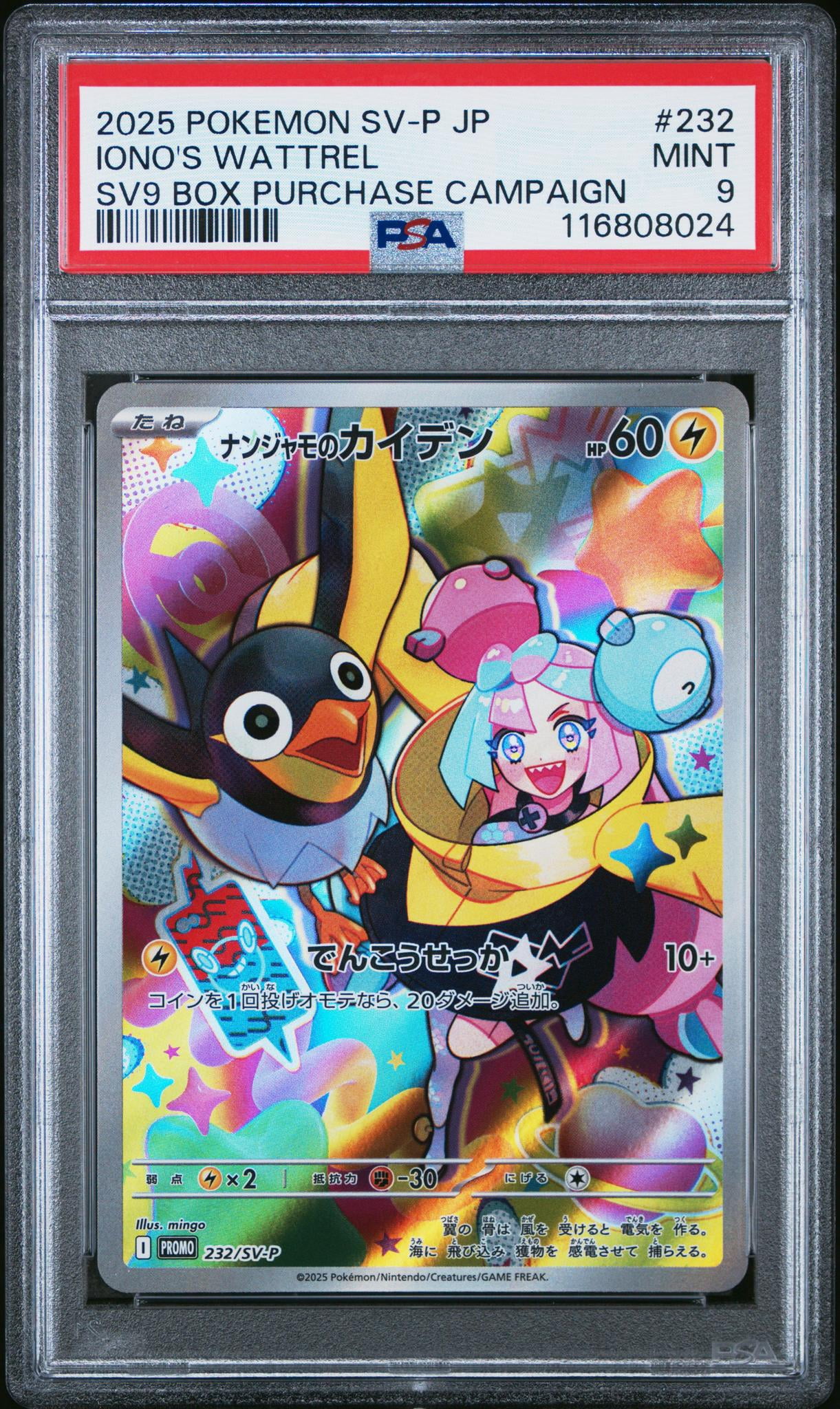 2025 Pokemon Scarlet and Violet Promo Battle Partners Box Purchase ...