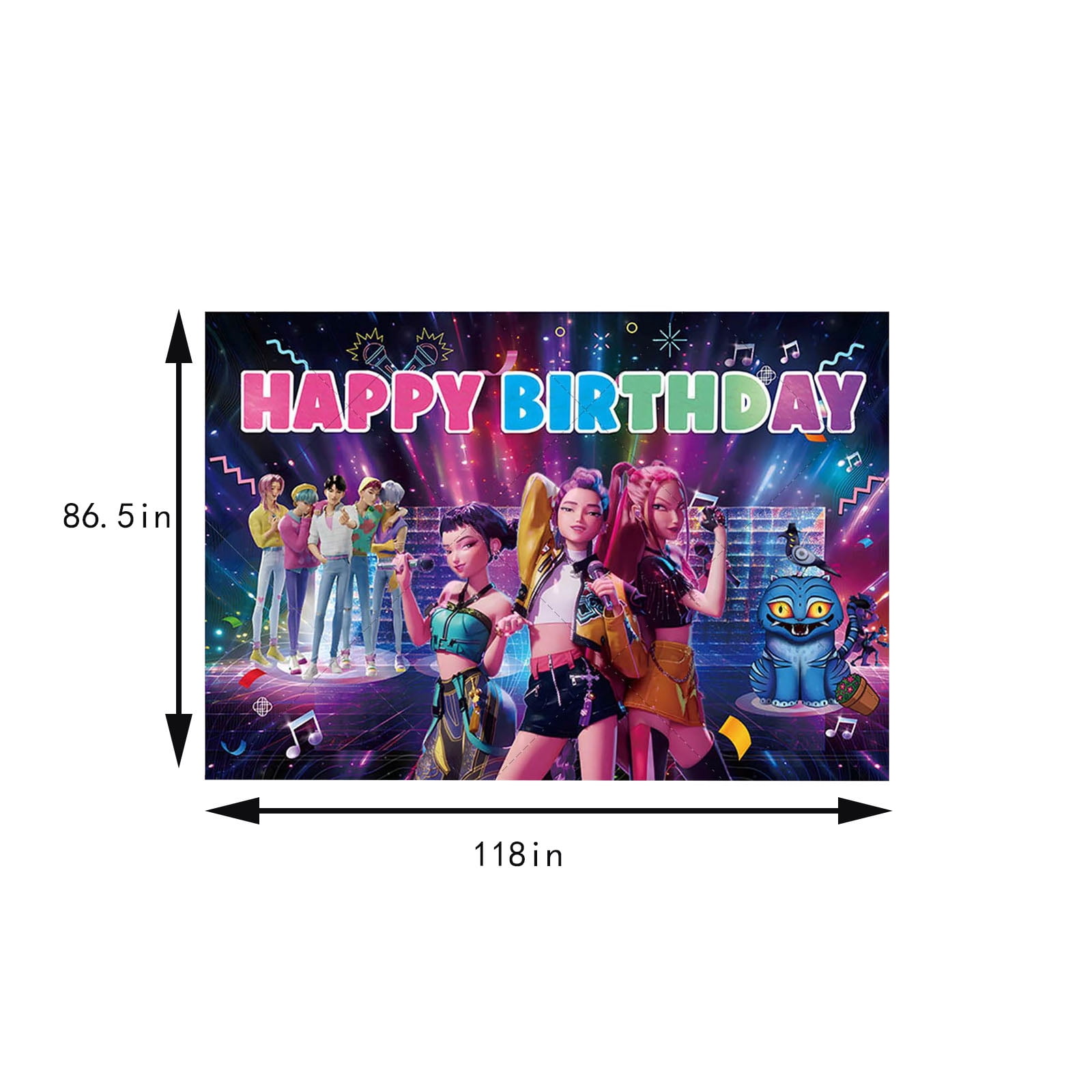 2025 Pop Singers Birthday Party Supplies, Pop Singers Birthday Party ...