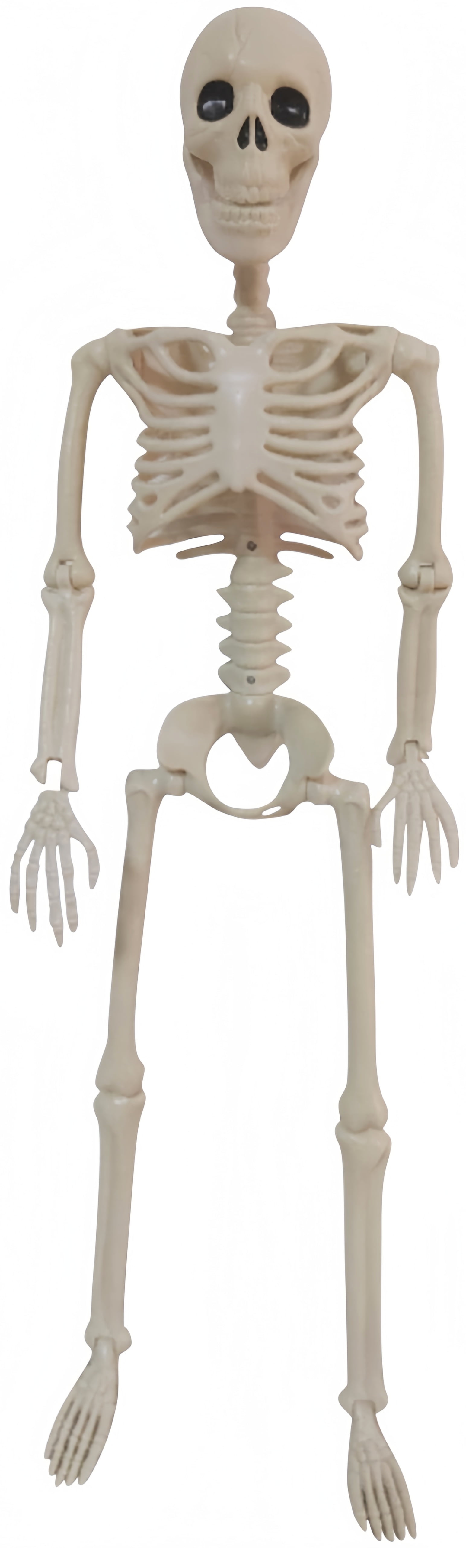 2025 Posable Halloween Skeleton Decor 35.4-inch- Full-Body Halloween ...