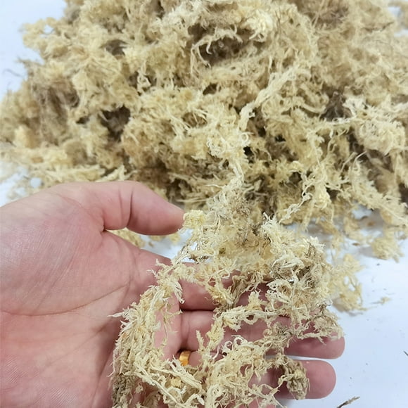 Peat Moss in Soil - Walmart.com