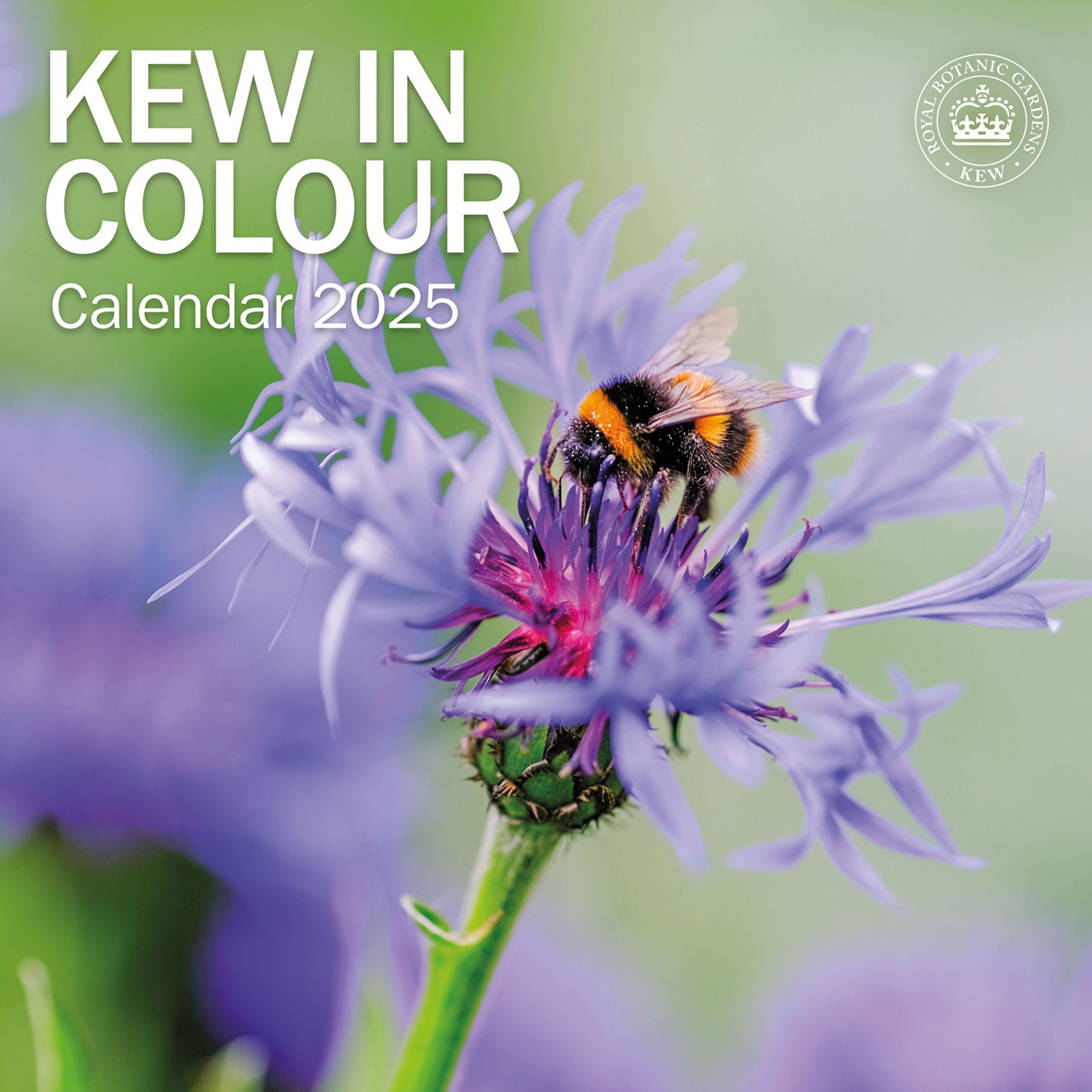 2025 Royal Botanic Gardens Kew, Kew in Colour Wall calendar : Plastic ...