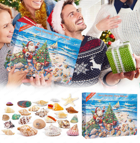 2025 Seashells Advent Calendar, 24 Day s of Christmas Countdown Gift ...
