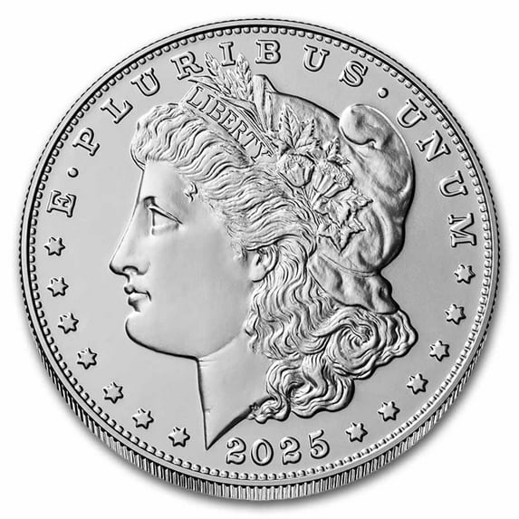 2025 Silver Morgan Dollar (Box & COA) - Walmart.com
