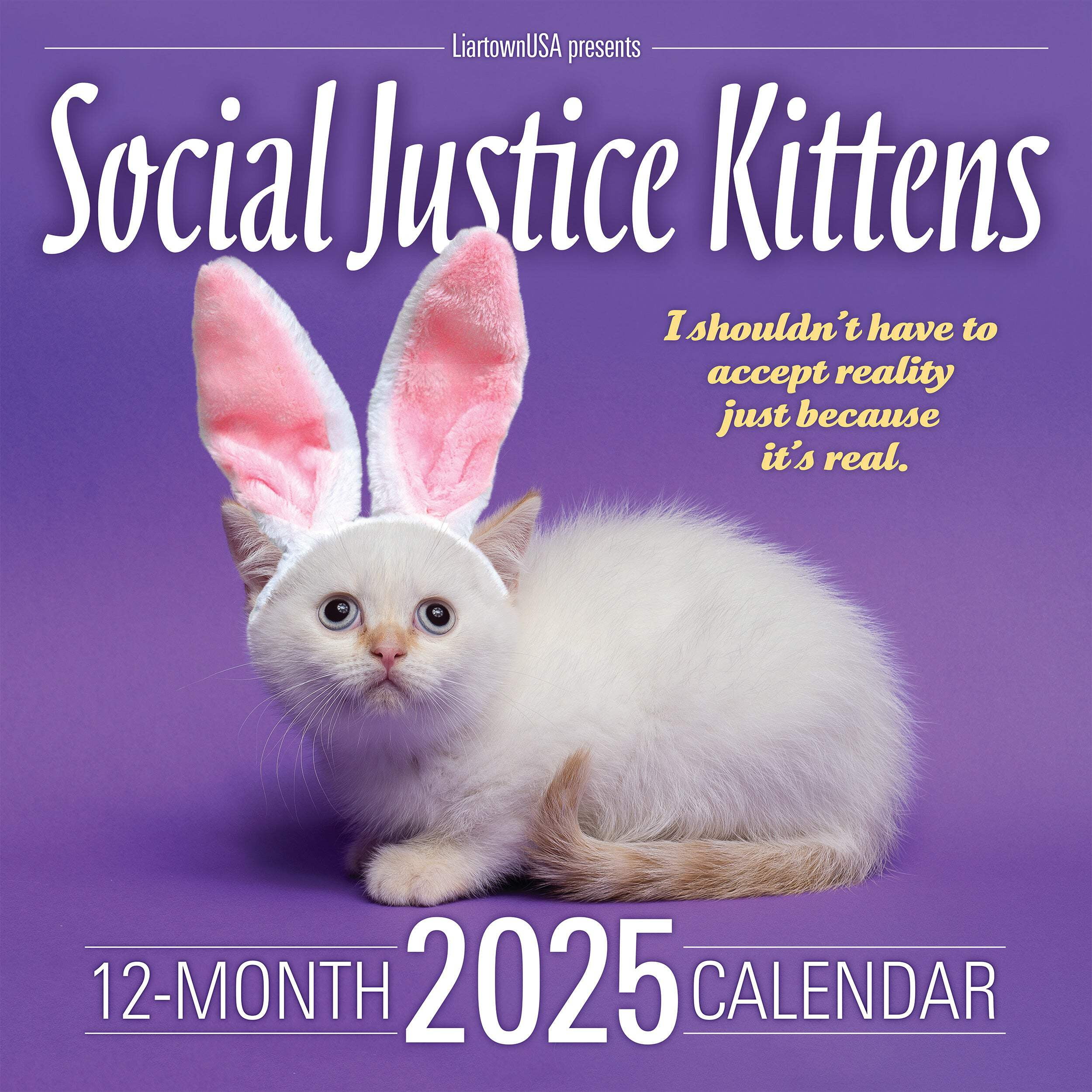 2025 Social Justice Kittens Calendar - Walmart.com