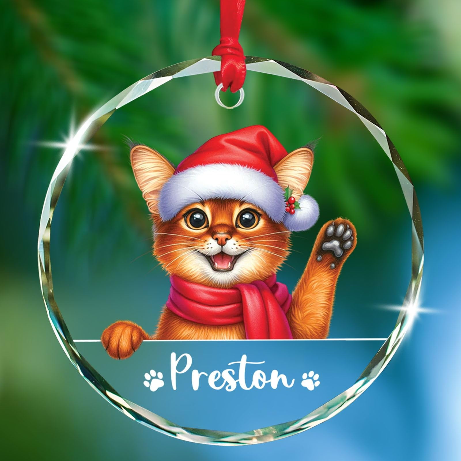 2025 Somali Cat Glass Christmas Ornament, Customized Name Somali ...