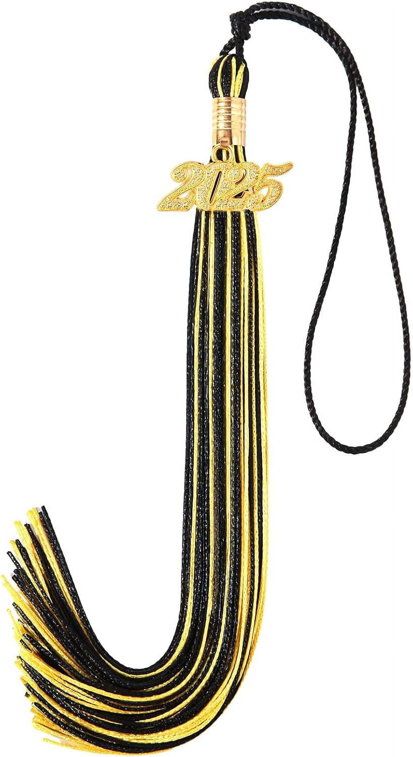 2025 Tassel Graduation, Graduation Tassel 2025 with 2025 Year Charm, 9 ...