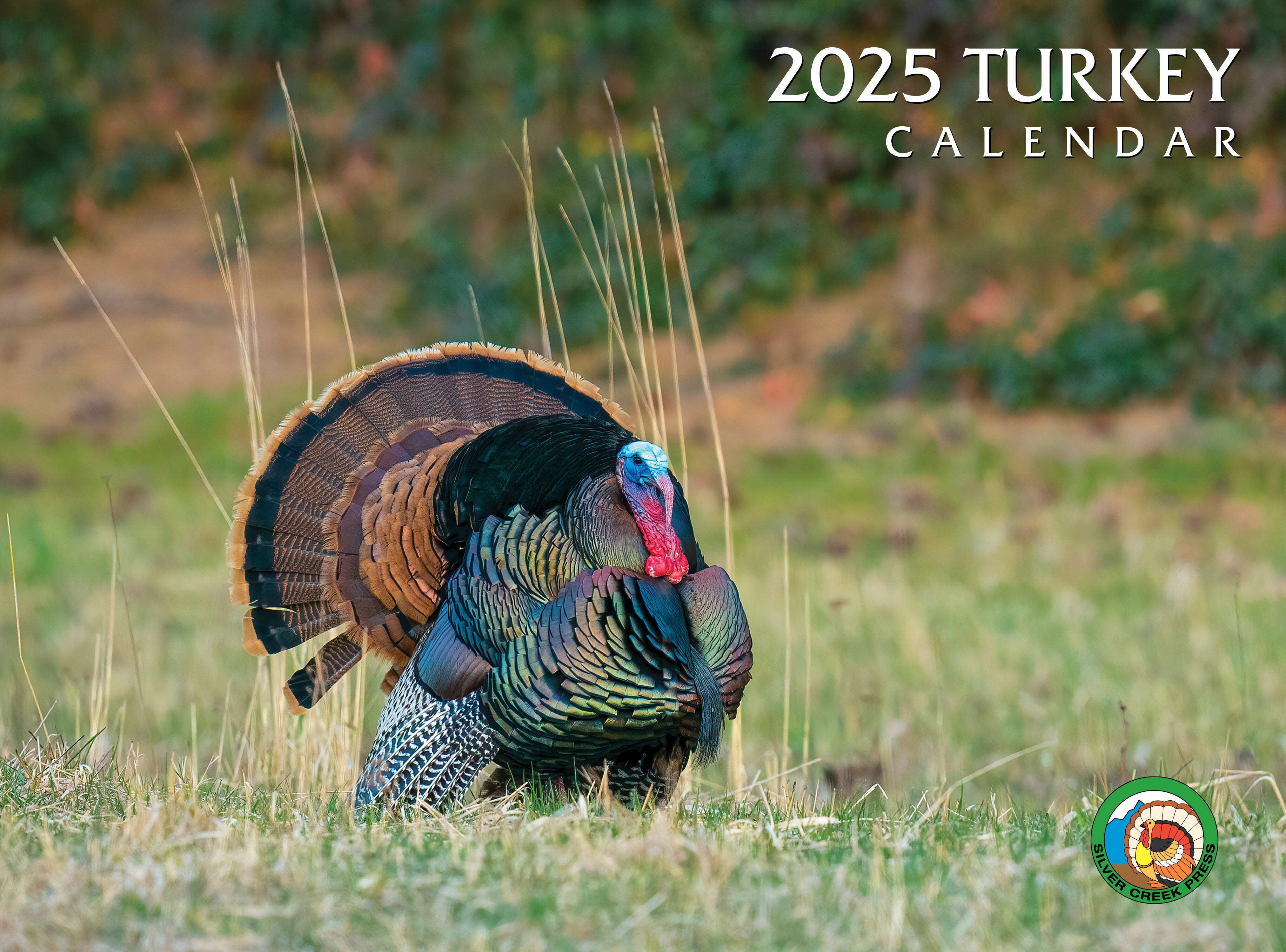 2025 Turkey Calendar - Walmart.com