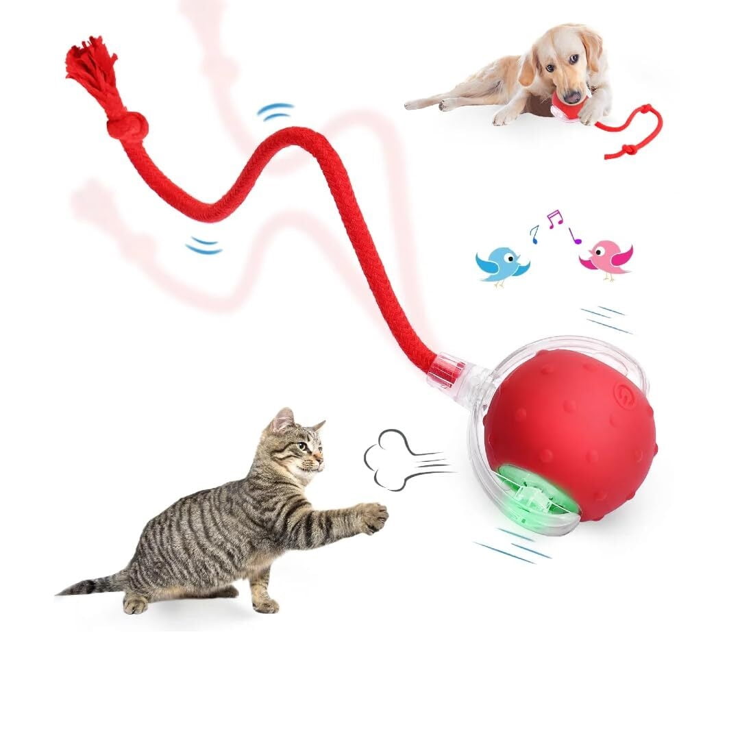 A 2025 Upgraded Interactive Rolling Ball, 360° Smart Automatic Moving ...