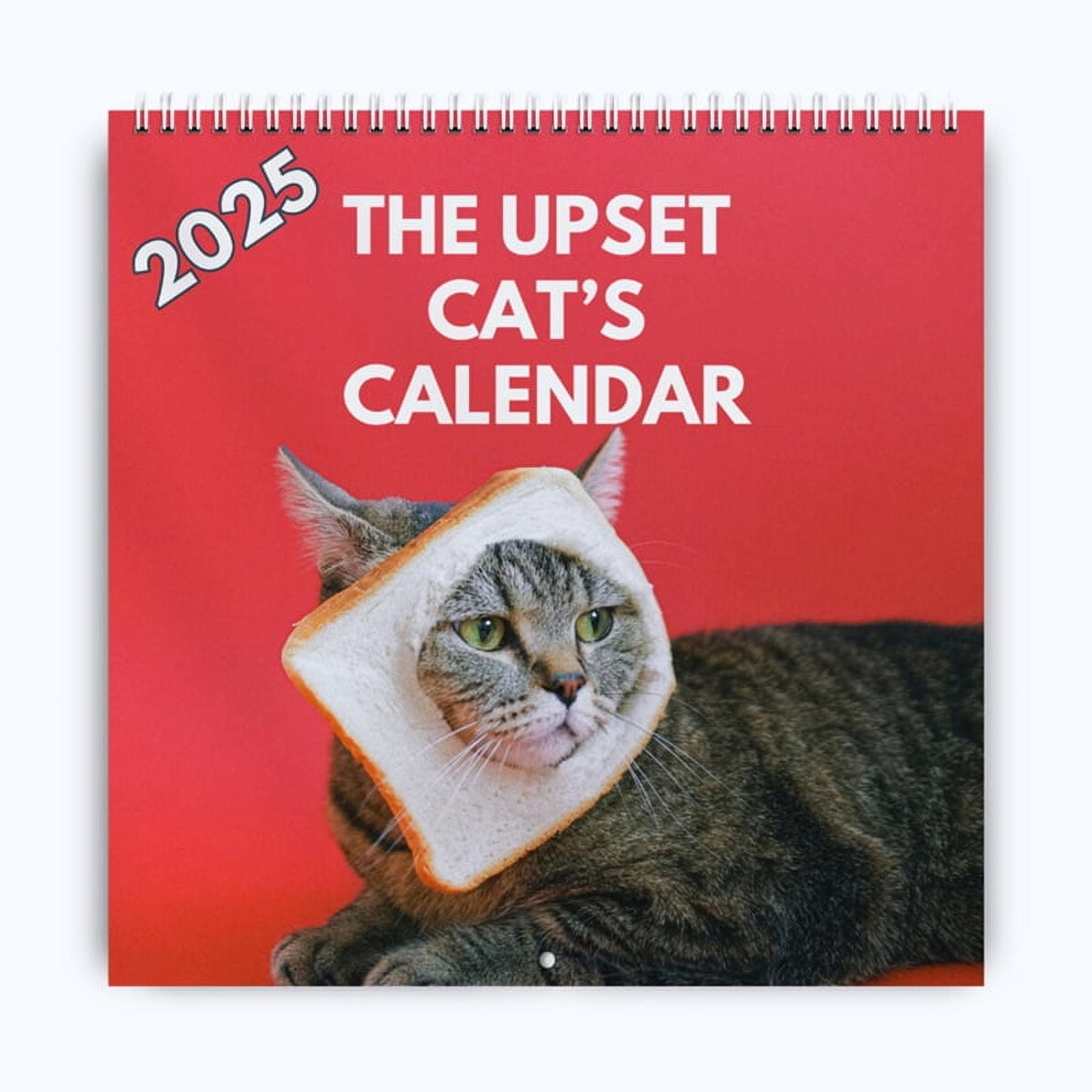 2025 Upset Cats Calendar - A Purrfectly Hilarious Way to Stay Organized ...