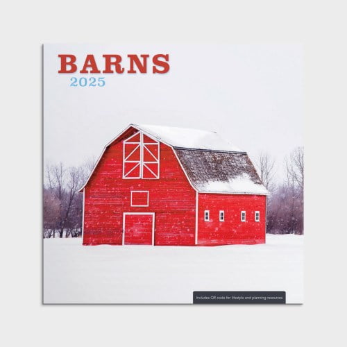 2025 Wall Calendar-Barns - Walmart.com