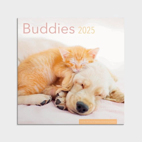 2025 Wall Calendar-Buddies - Walmart.com