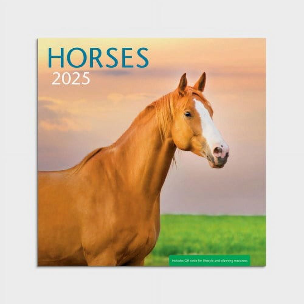 2025 Wall Calendar-Horses Chestnut - Walmart.com
