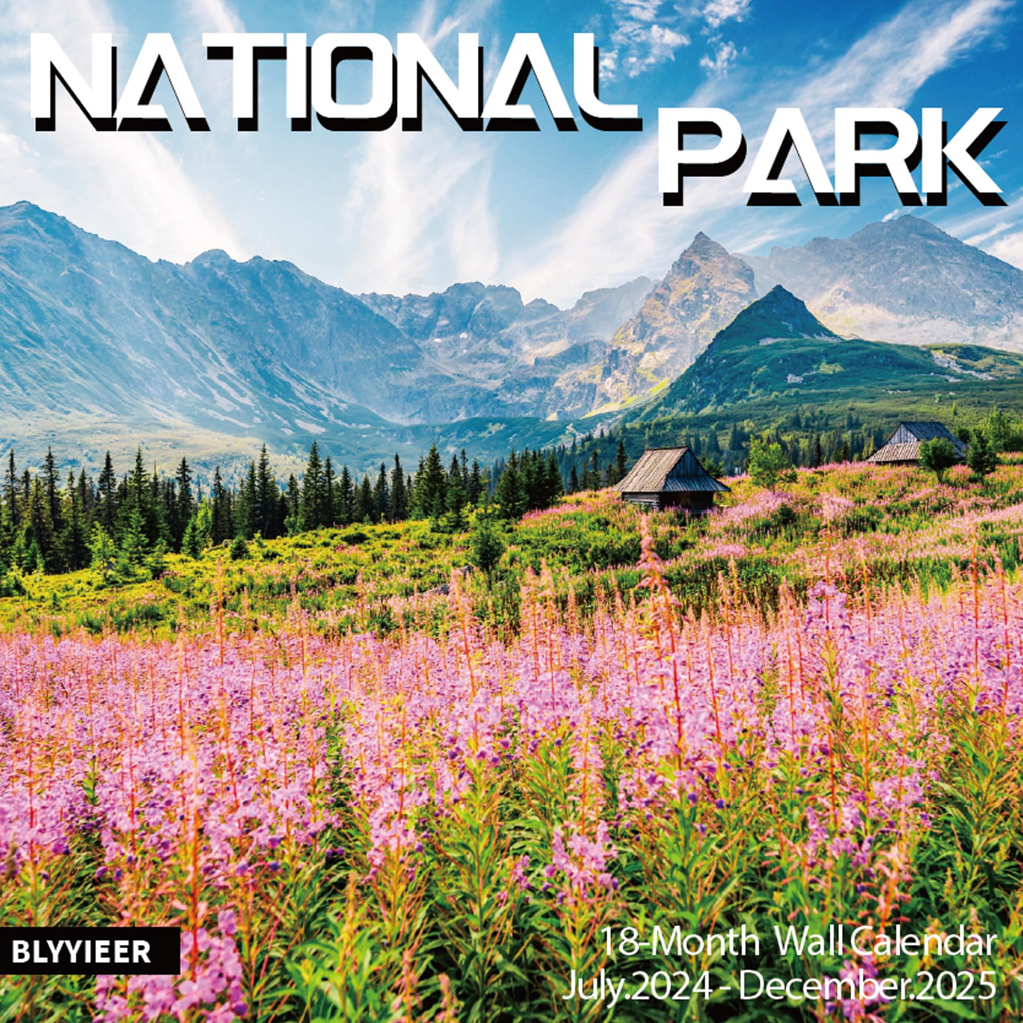 2025 Wall Calendar National Parks | Jul 2024 -Dec 2025 | 18 Month ...