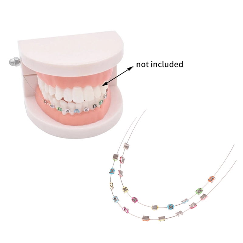 2025 Wholesale Orthodontic Dental Supplies Complete Fashion Bracket ...