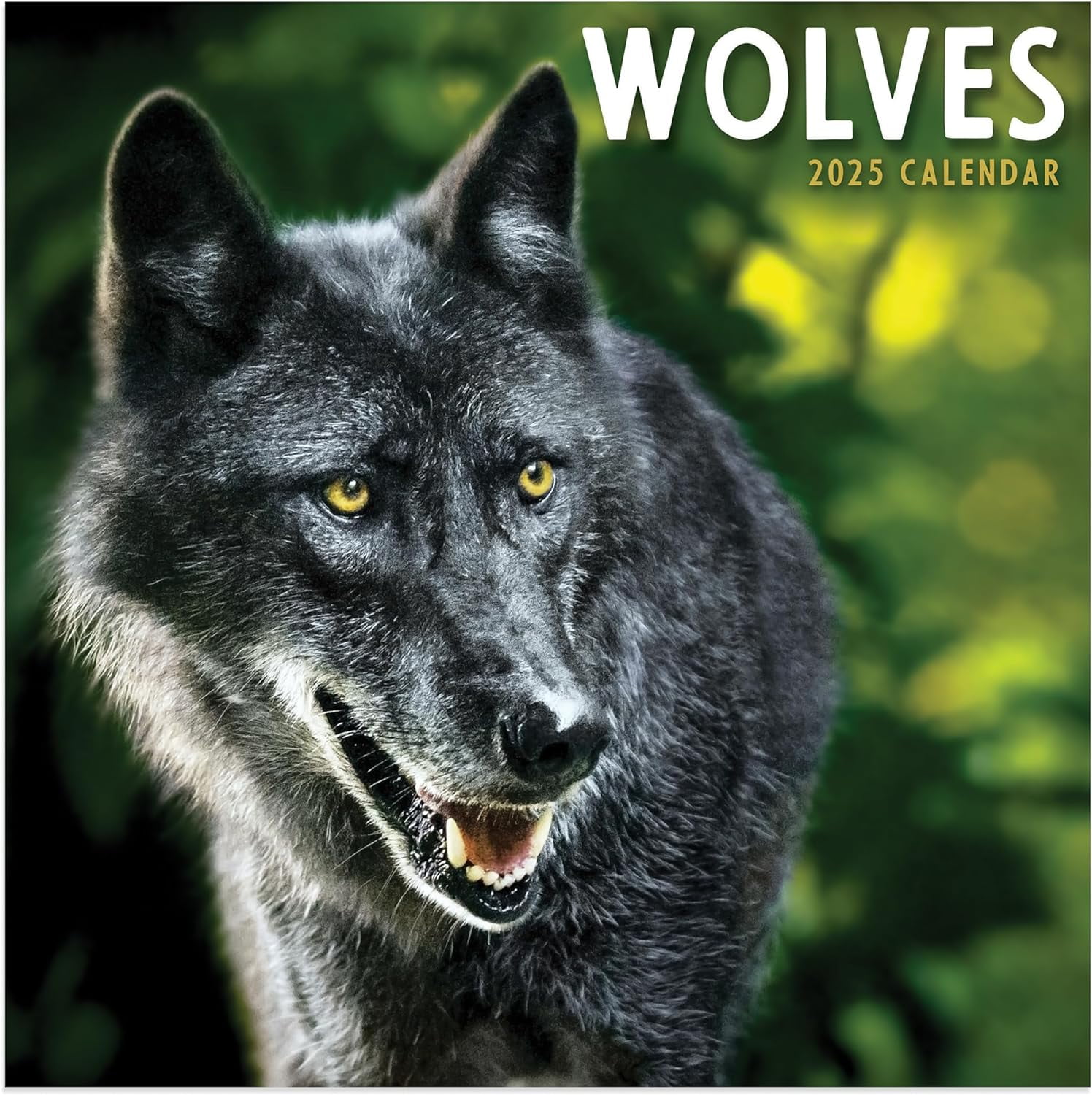 2025 Wolves Mini Calendar - Walmart.com