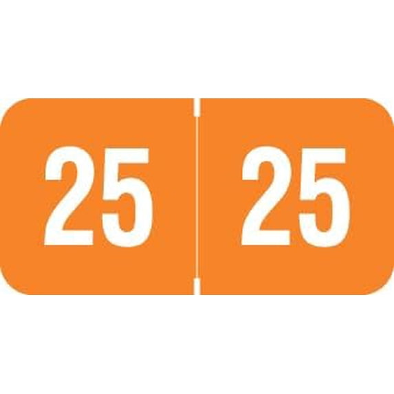 2025 Year Labels, 2025 Chart Stickers, Orange/White Color Coded ...