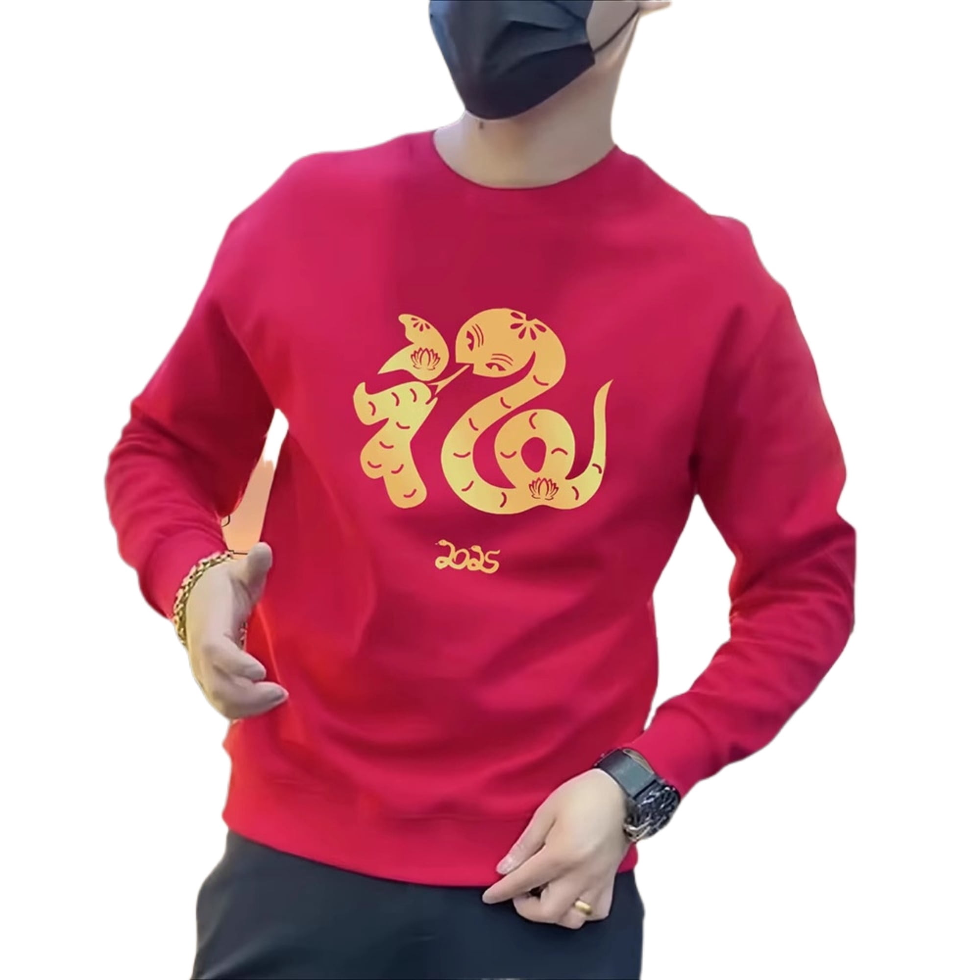 2025 Year of the Snake Zodiac Wei Yi Men's regular Happy New Year ...