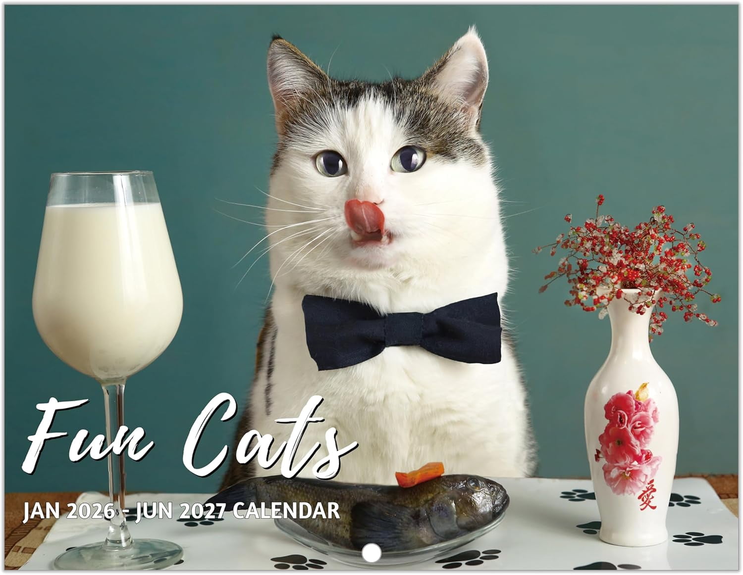 2026-2027 Calendar, Fun Cats Calendar 2026-2027 Wall. Jan 2026 - Jun ...