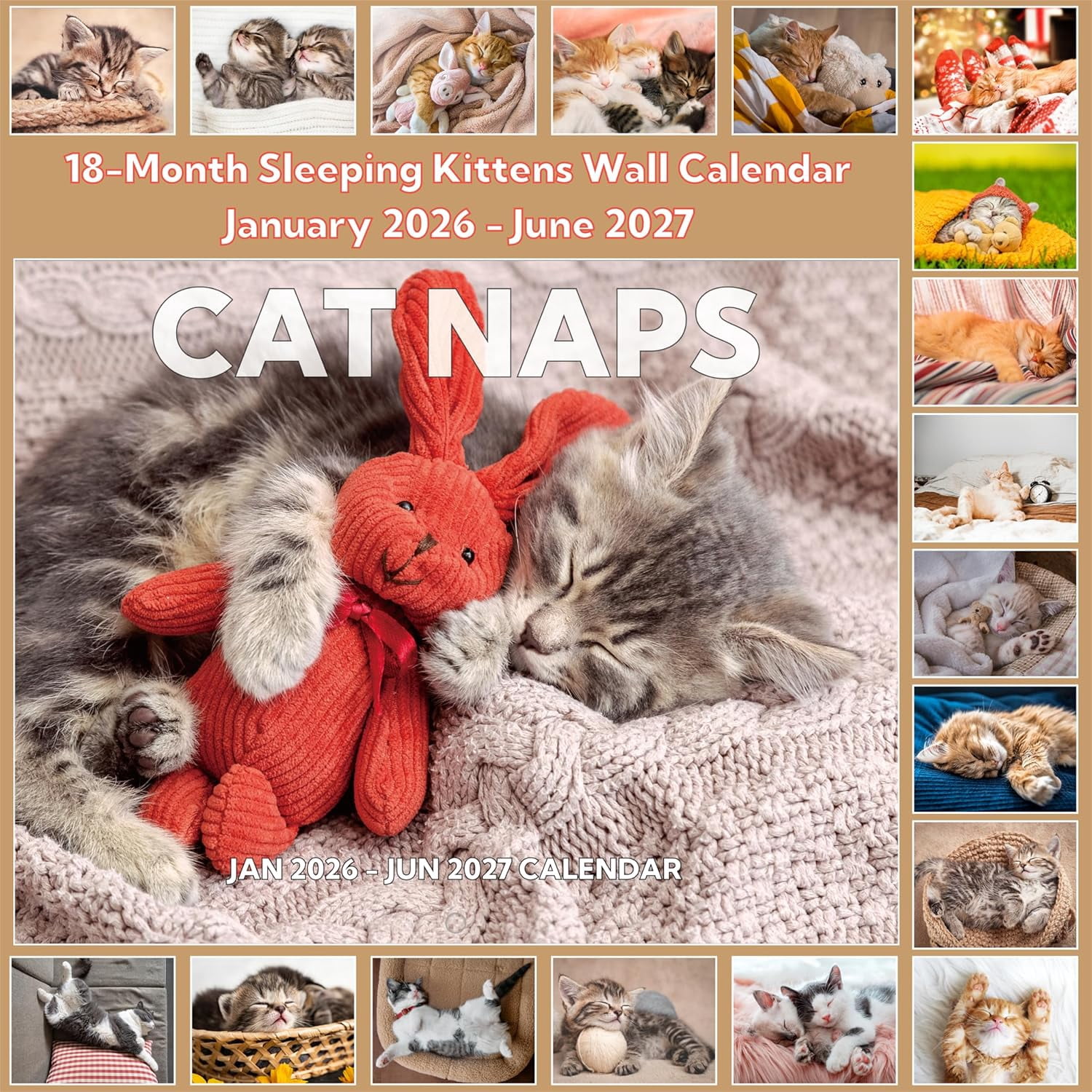 2026-2027 Calendar, Naps Calendar 2026-2027 Wall. Jan 2026 - Jun 2027 ...