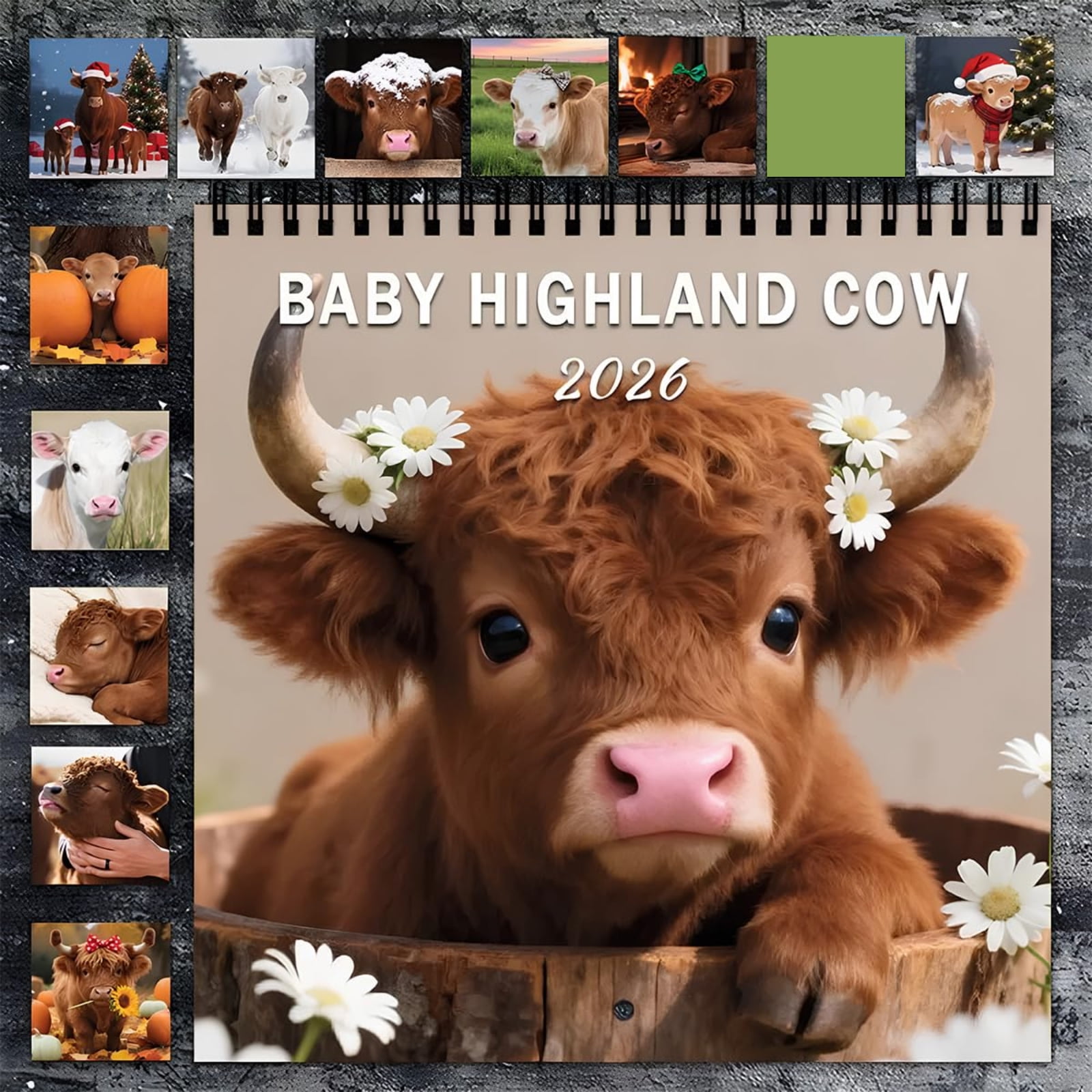 2026 Baby Highland Cow Calendar - Cute Highland Cow Calendar with 12 ...