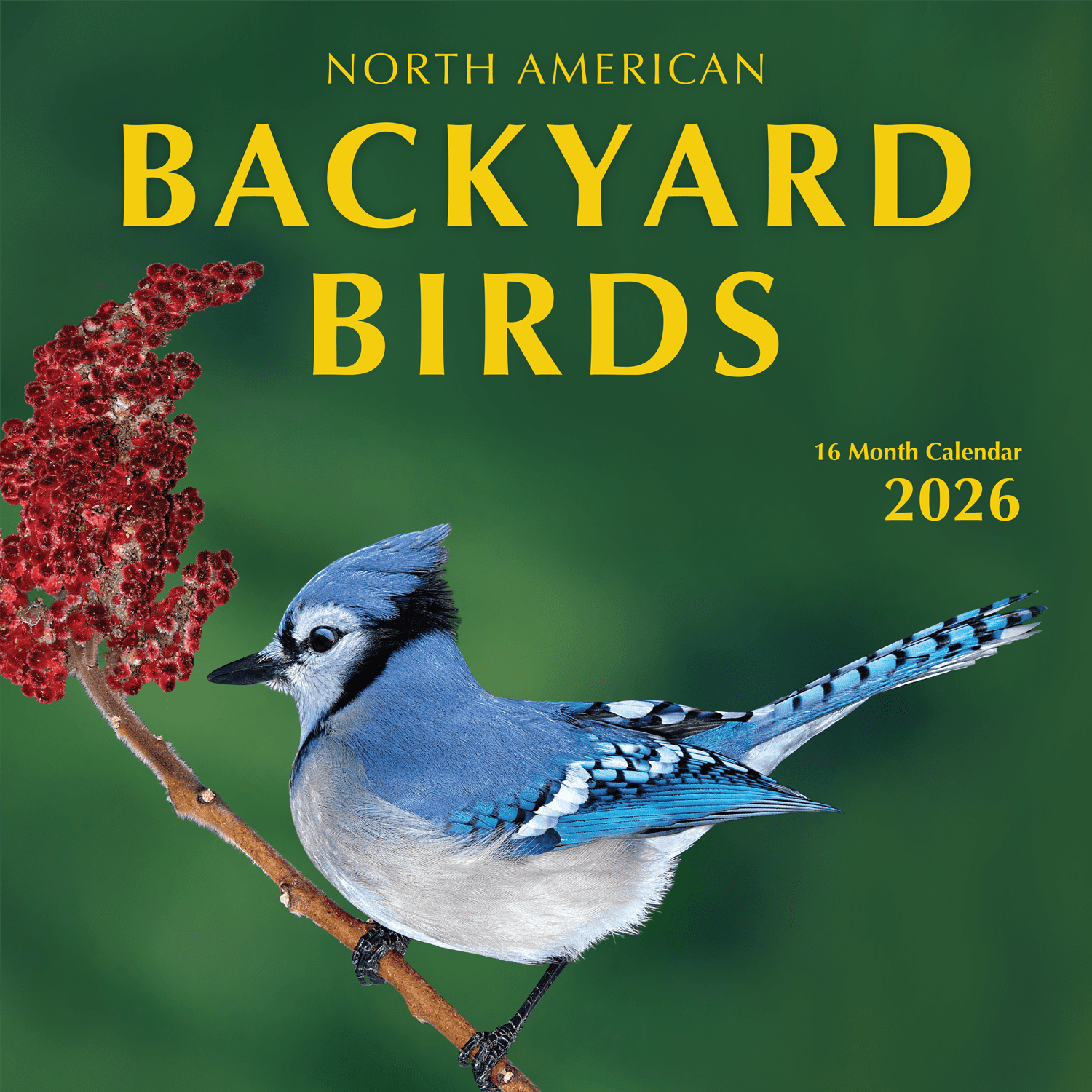 2026 Backyard Birds Hangable Wall Calendar Monthly Beautiful Wildlife ...