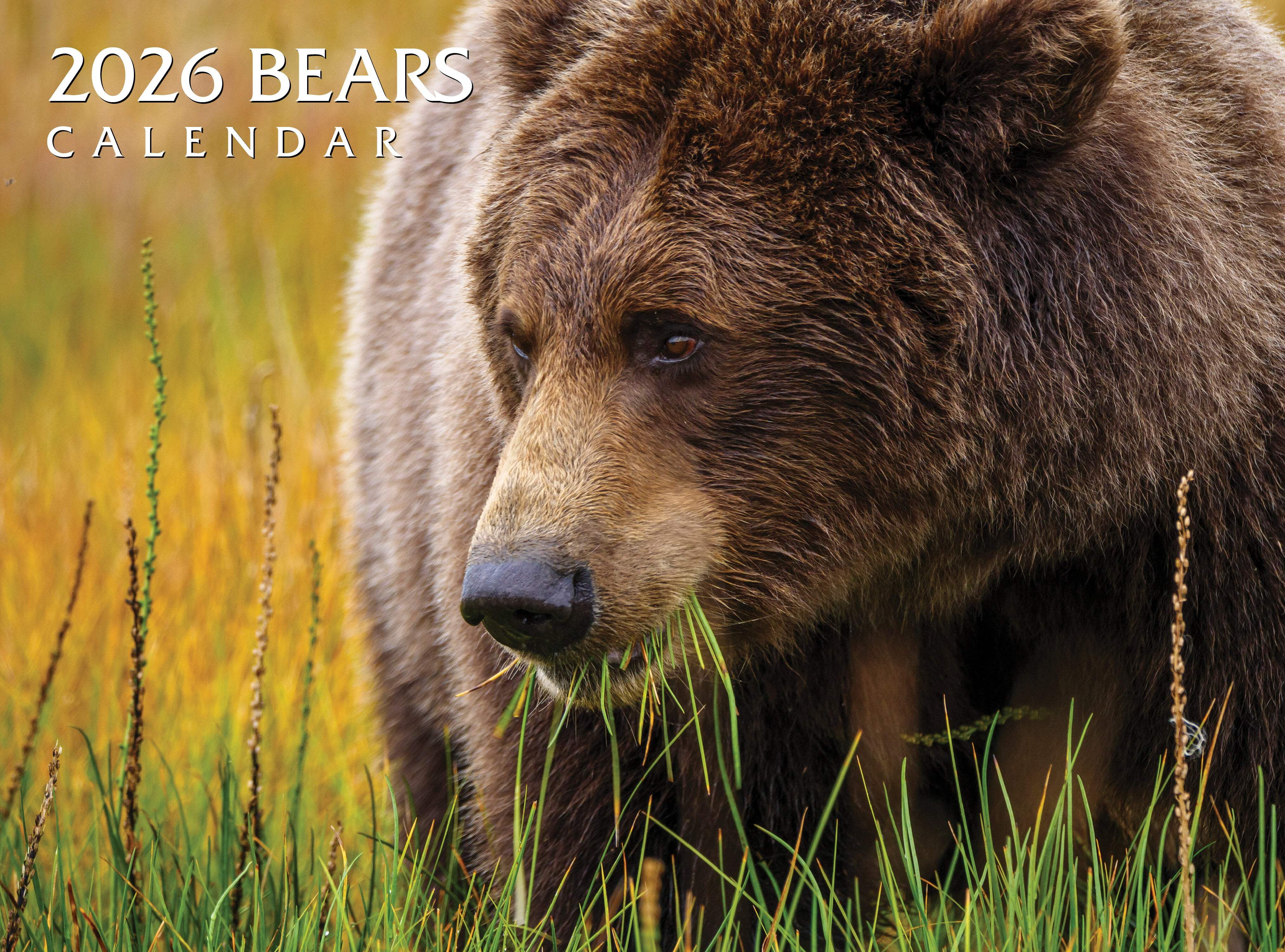 2026 Bears Calendar - Walmart.com