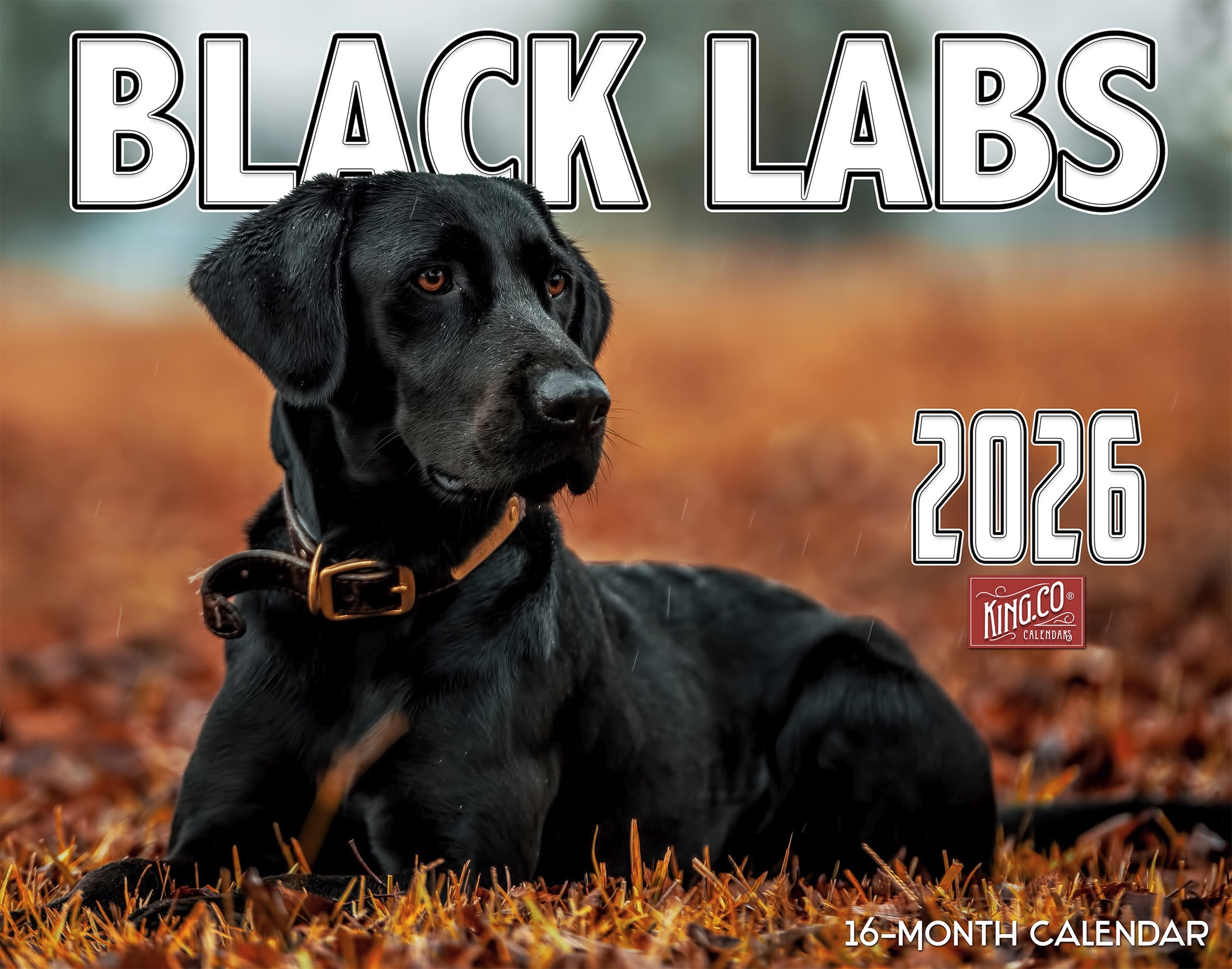 2026 Black Labrador Dog Wall Calendar 16-Month X-Large Size 14x22, Lab Calendar by The KING ...