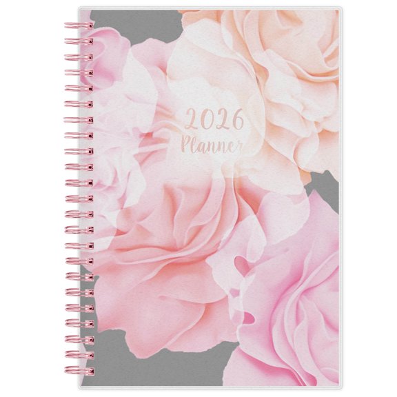 Blue Sky Teacher Academic Year Weekly/Monthly Lesson Planner 11 x 8.5 ...