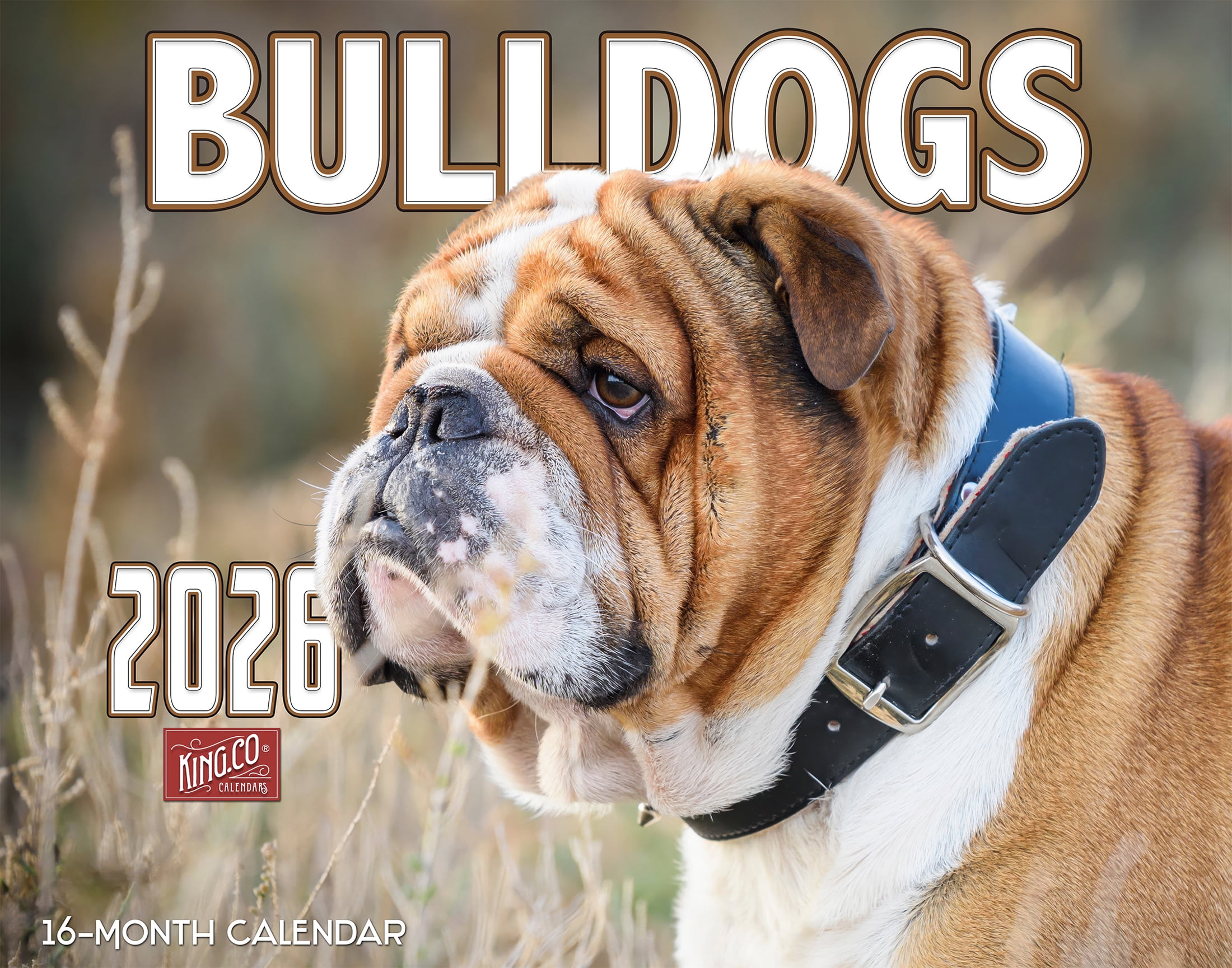 2026 Bulldogs Wall Calendar 16-Month X-Large Size 14x22, Dog Calendar ...