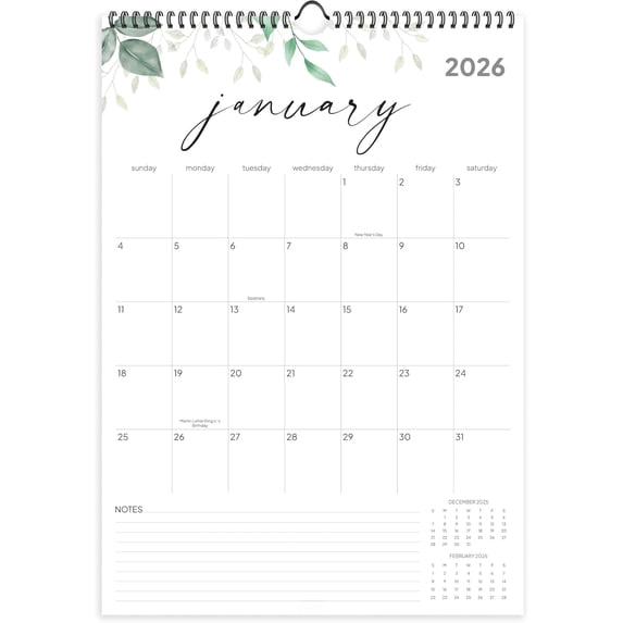 2026 Calendar, 12 Months, January to December, 17" x 12", Large Wall ...