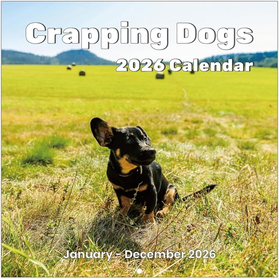 2026 Calendar, 2026 Wall Calendar, Fun Dogs Calendar 2026 from Jan ...