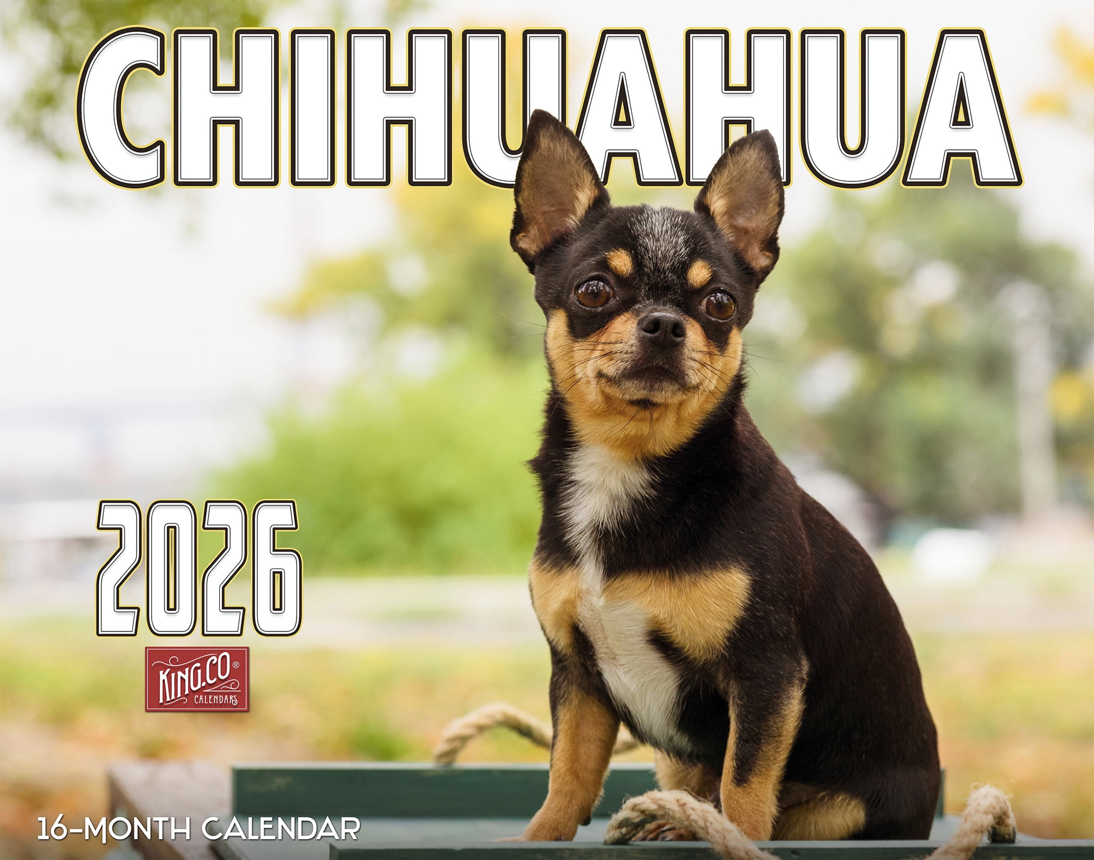 2026 Chihuahuas Dog Wall Calendar 16-Month X-Large Size 14x22, Dog ...
