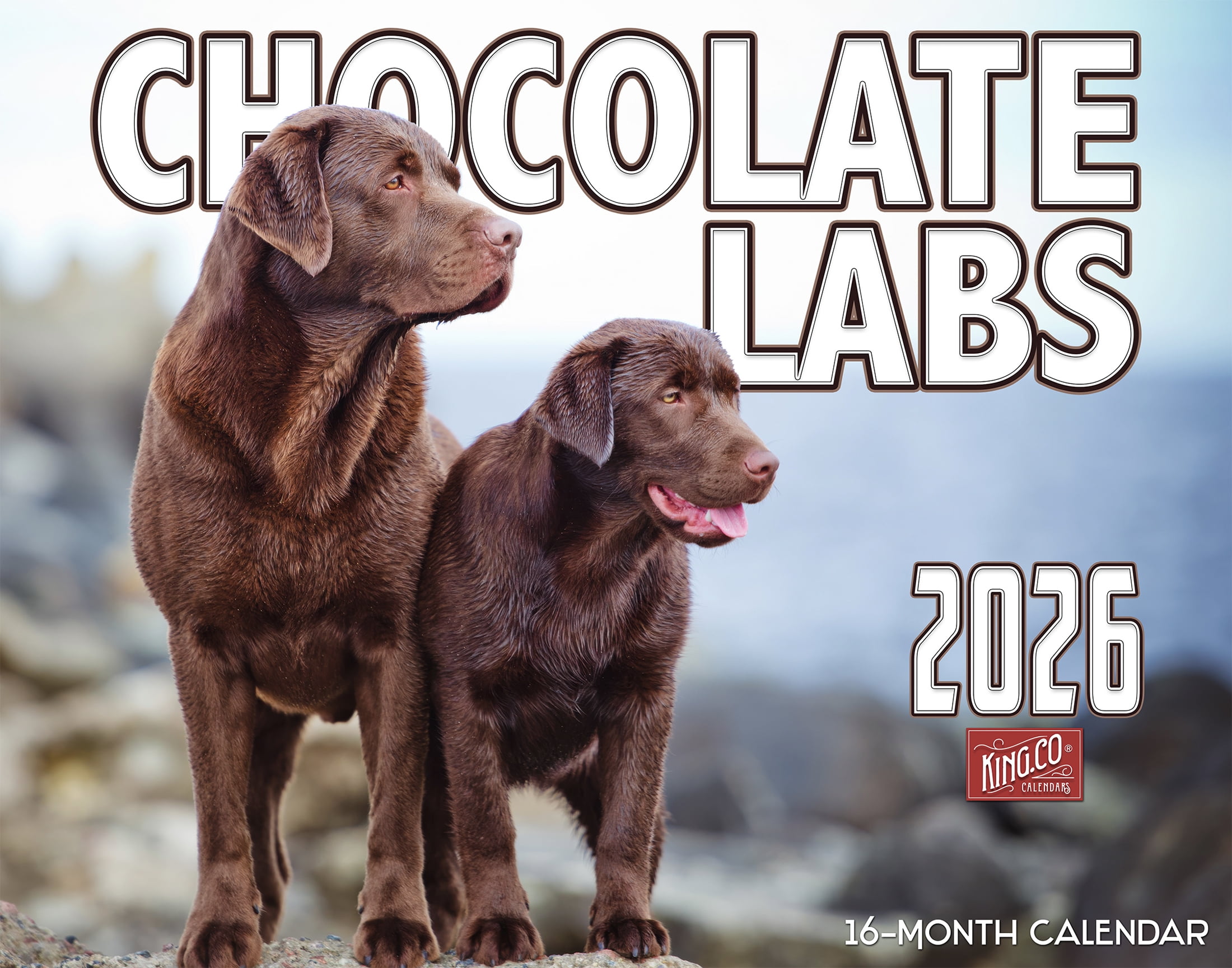 2026 Chocolate Labrador Dog Wall Calendar 16-Month X-Large Size 14x22 ...