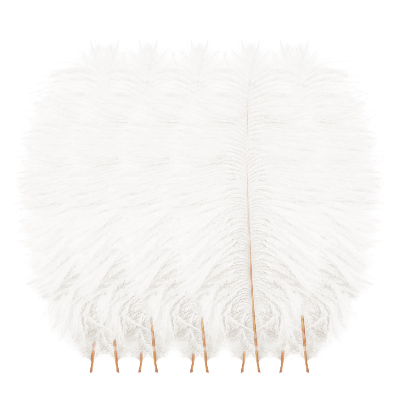 2026 Clearance ZHENFA 10 Pcs Multicolor Plumage forWedding Party ...