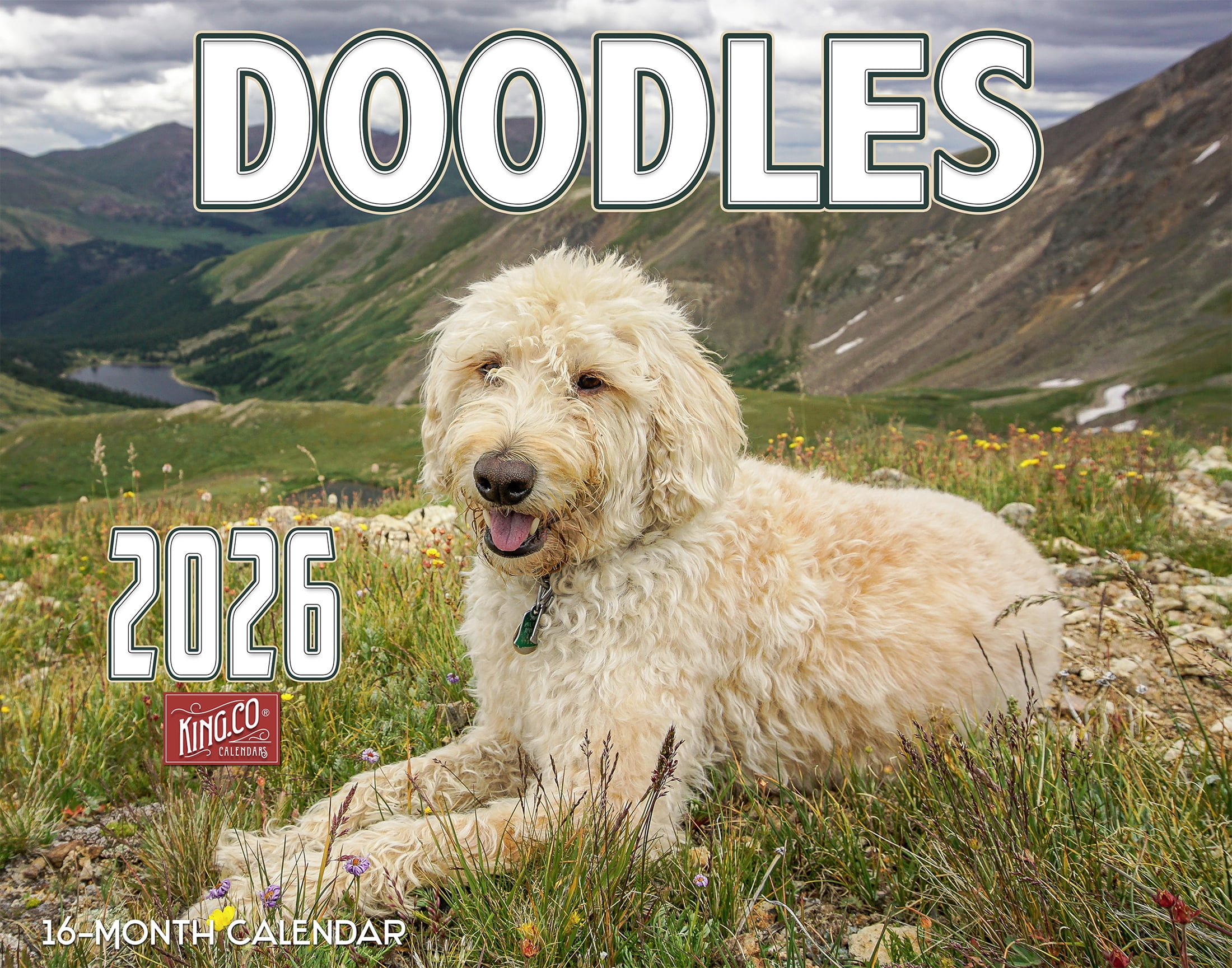 2026 Doodles Wall Calendar 16-Month X-Large Size 14x22, Goldendoodle ...