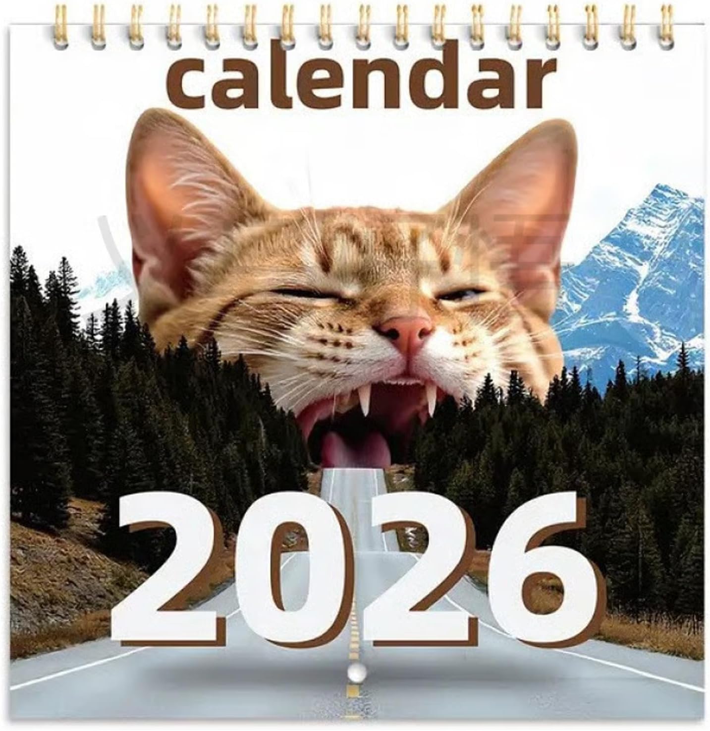 2026 Funny Cat Wall Calendar – Square Edition, Cute Magic Cats 12 ...