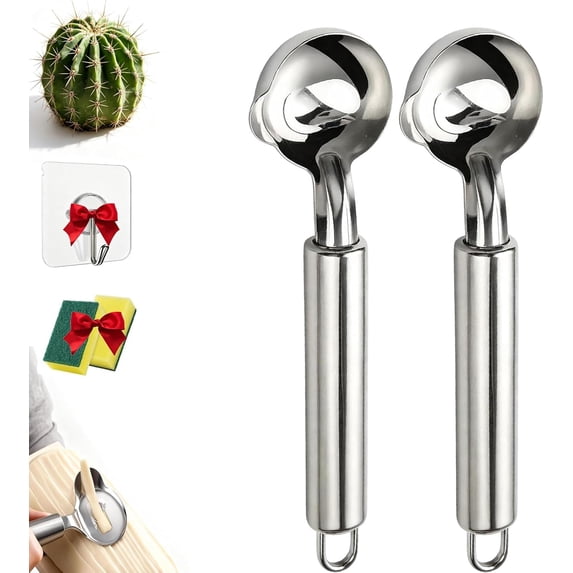 2026 Multifunctional Stainless Steel Spoon Cactus Thorn Removal Tool ...