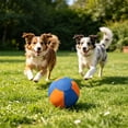 2026 New Balls The Dog Calming Ball For Dogs Ball For Dogs Inflatable ...