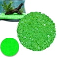 2026 New Colorful Glow-in-the-Dark Garden Stones, 1000 PCS Glowing ...