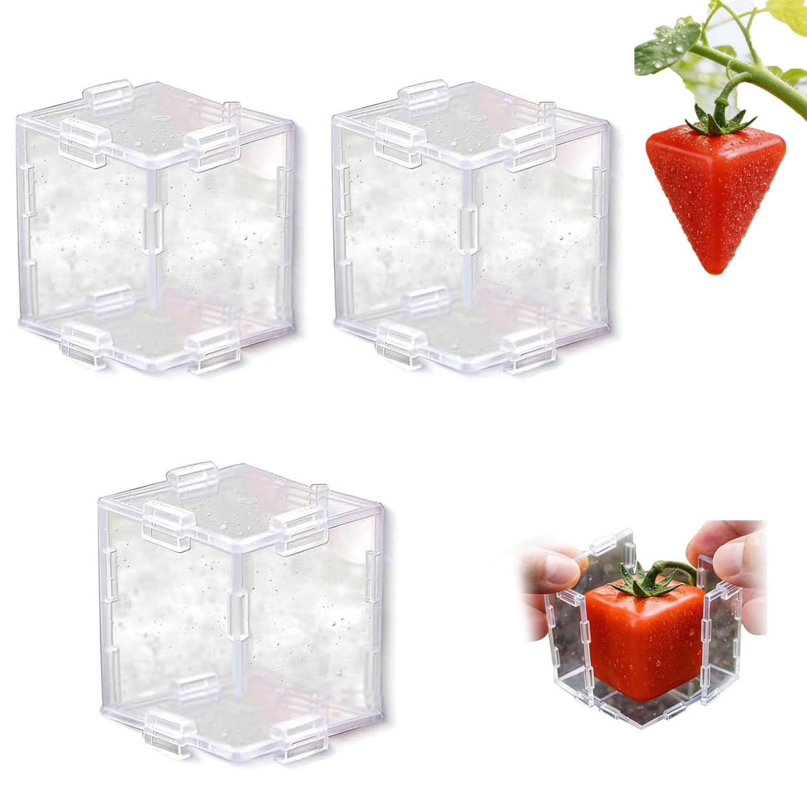 2026 New Fruit Shaping Mold for Growing Unique, Cubic & Triangular ...