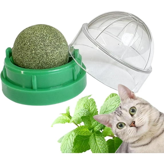 2026 New Healthy Catnip - Catnip Ball Treat, Cat Rolling Toys | Kitten ...