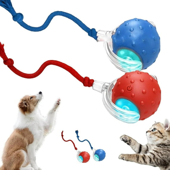 2026 New Interactive Fast Moving Toys Balls with Birdsong, 360° Smart ...