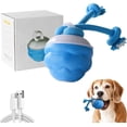 2026 New Interactive Smart Rolling Pet Ball – Motion-Activated Squeaky ...