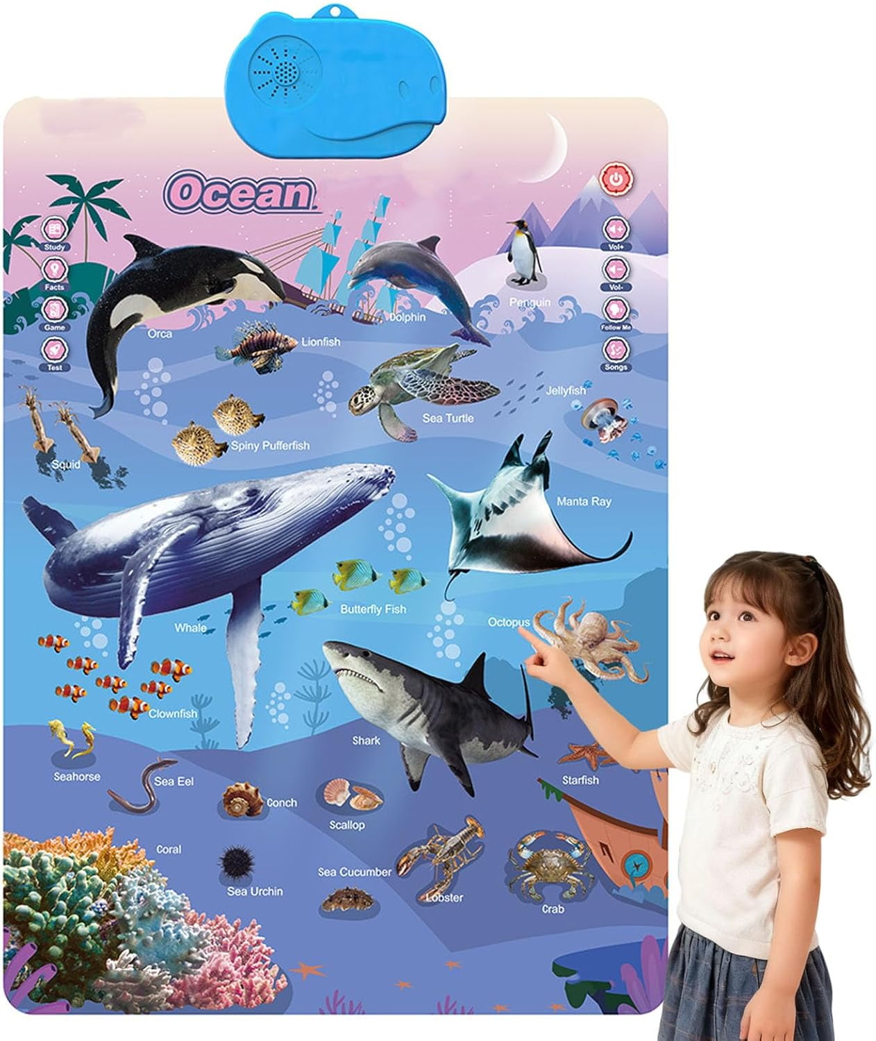 2026 New Talking Wall Chart for Kids,Educational Touch Learning ...