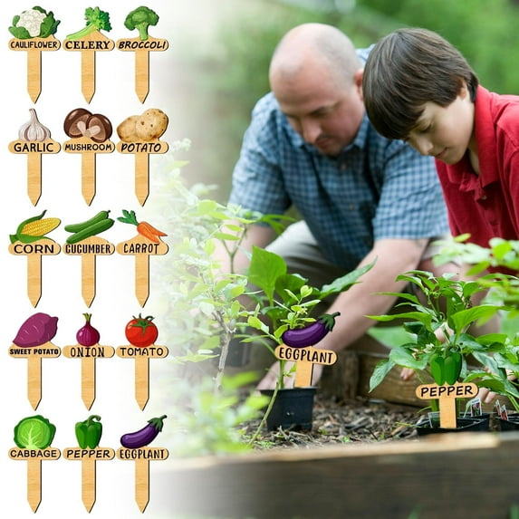 2026 New Upgrade 15PC Wooden Vegetable Plant Label SimpleCartoon ...