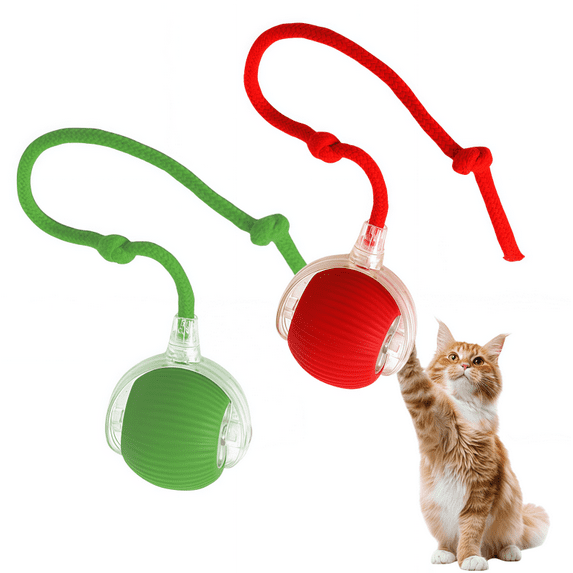 2026 New Upgrade Cat Toy, 360° Automatic Rolling Smart Pet Ball Toys ...