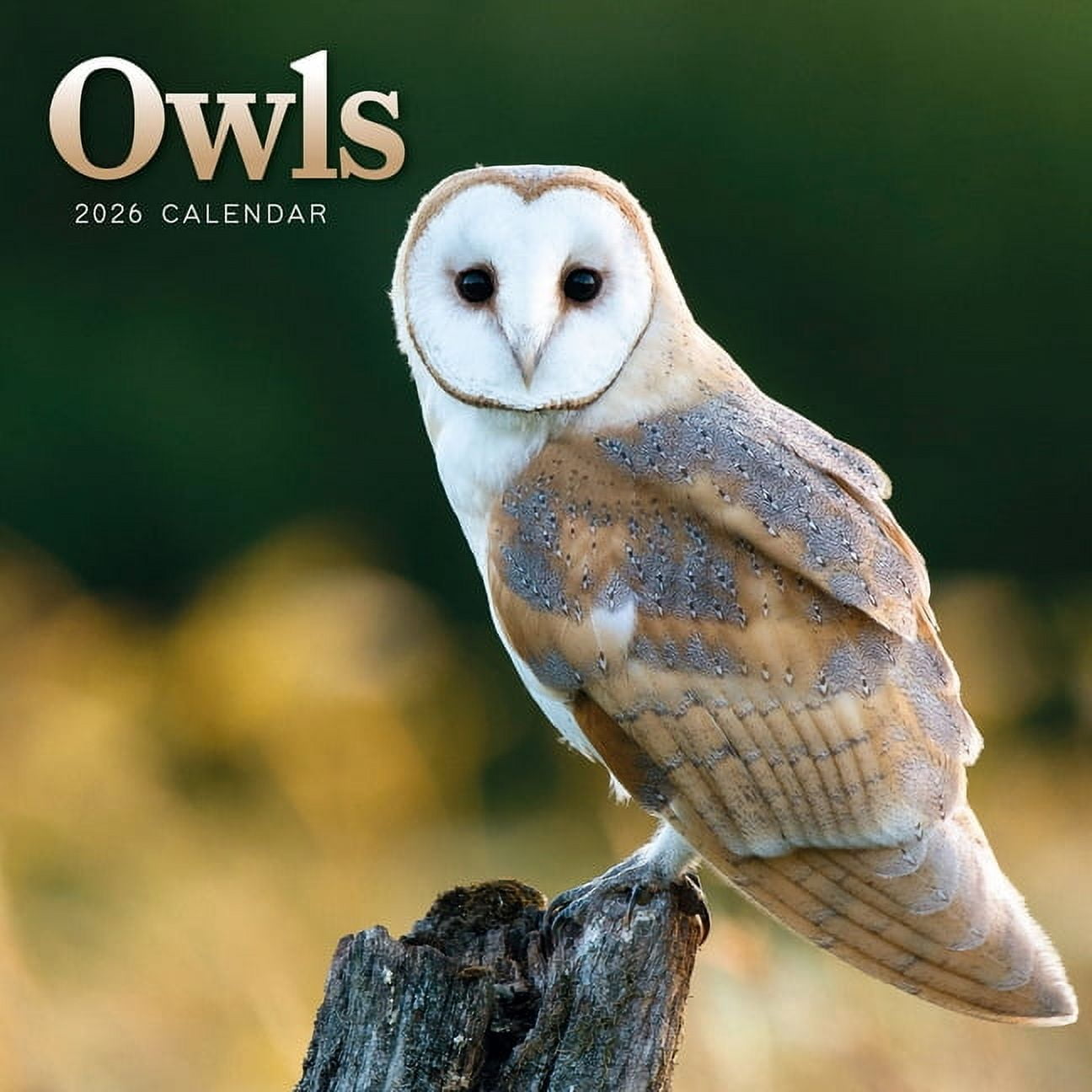 2026 Owls Mini Wall Calendar, (Paperback) - Walmart.com